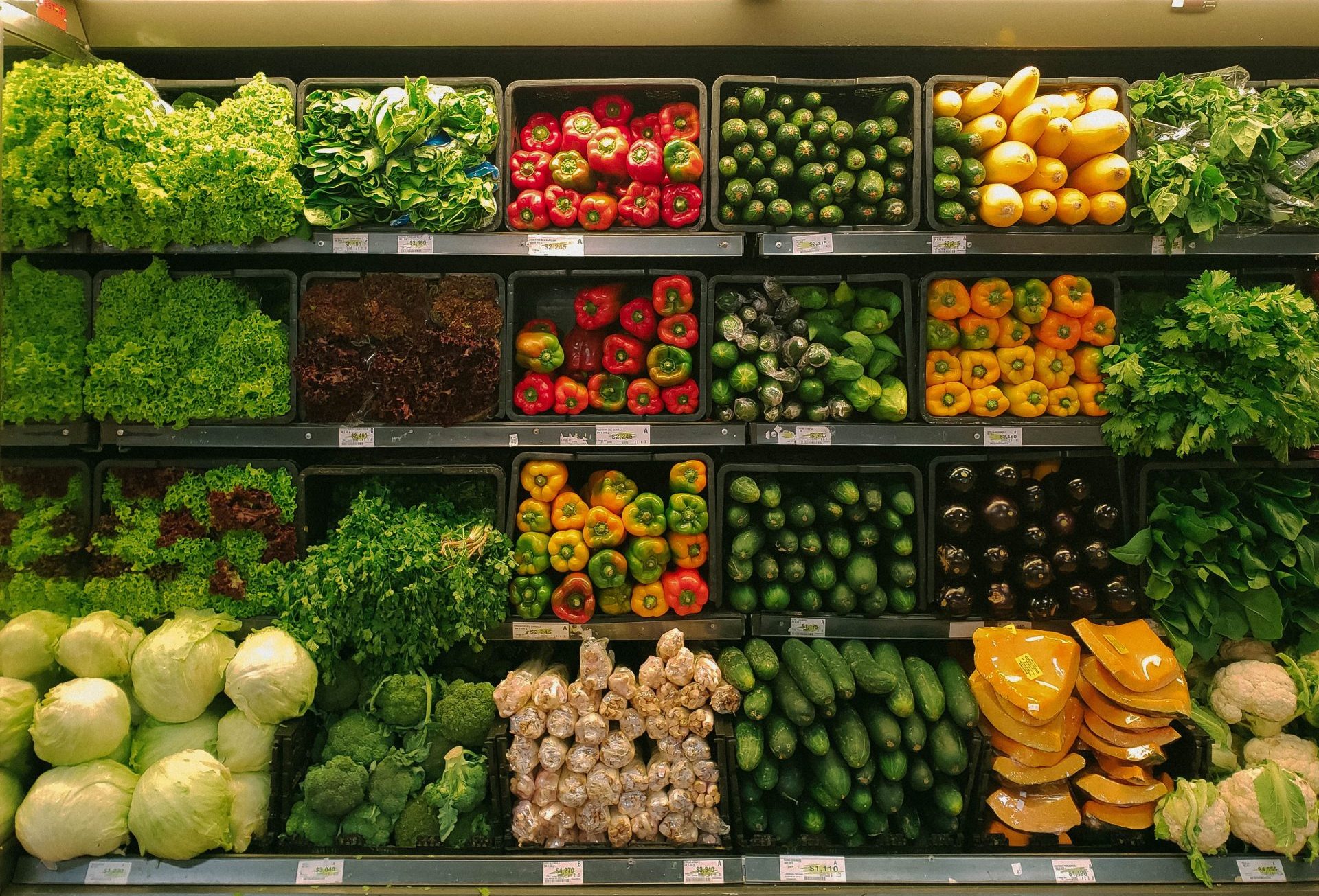 The Broken Food Chain? – AvidLifestyle