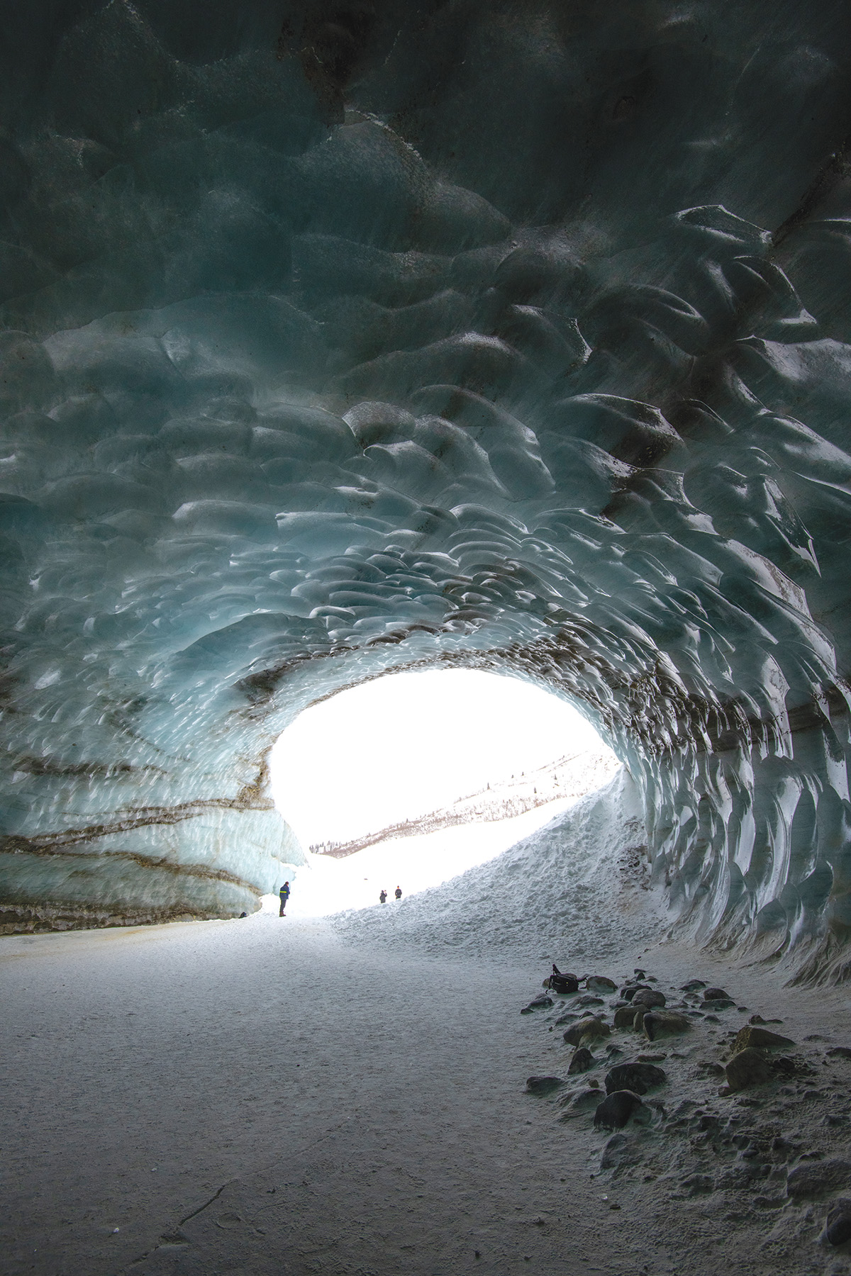 In Search of Ice and Light – AvidLifestyle